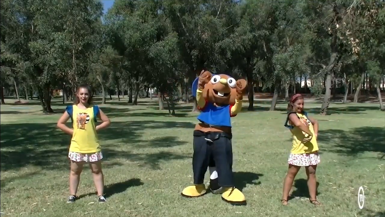 サマルカンダ喜び製造会社（Samarcanda the Joy Maker）: 知られざるアニメーションの世界