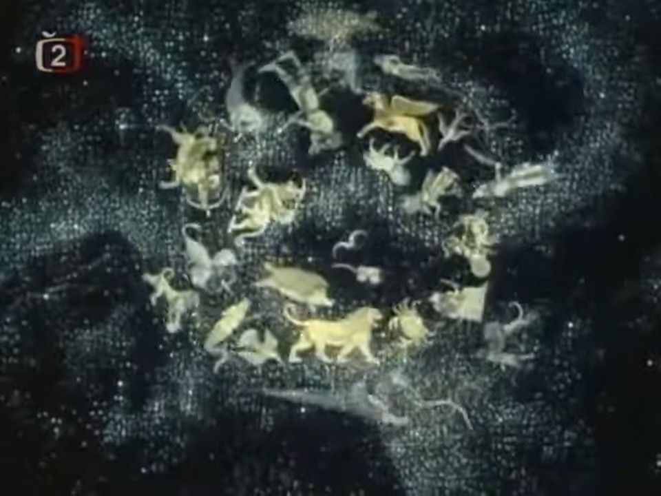 ヴァーツラフ・メルグル（Václav Mergl）チェコのSFアニメーション作家 その2: 知られざるアニメーションの世界